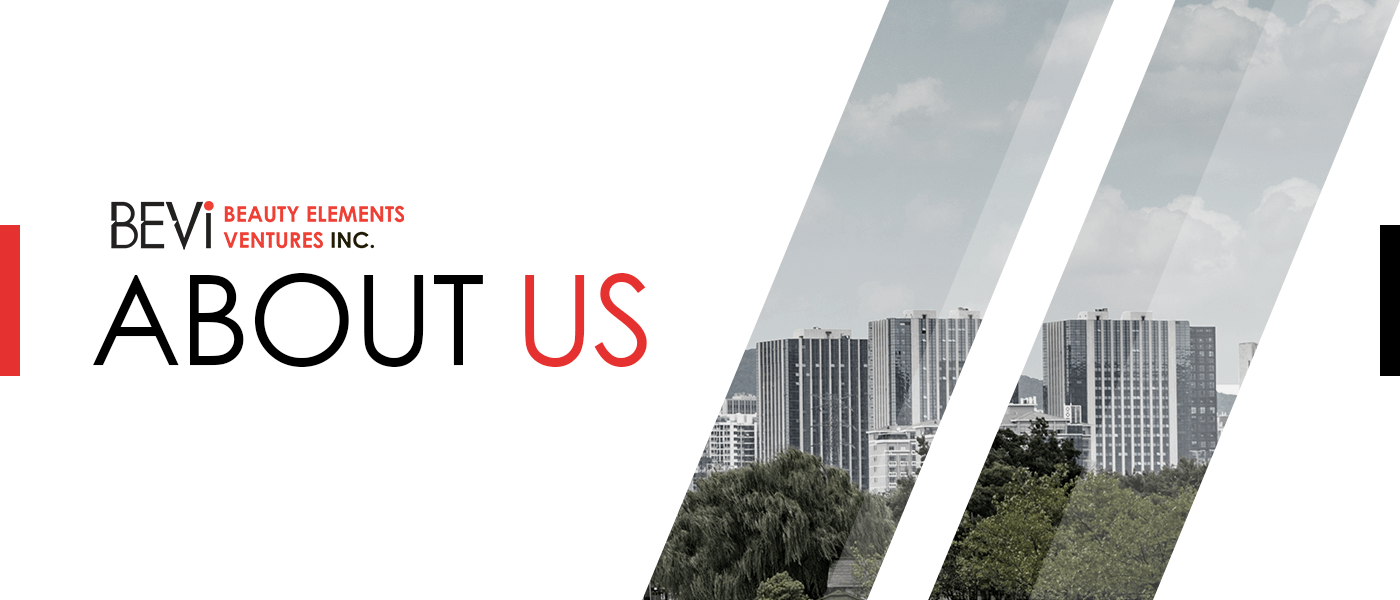 About Us | Beauty Elements Venture Inc.